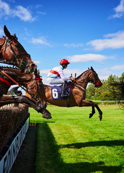 Perth Festival at Perth Racecourse