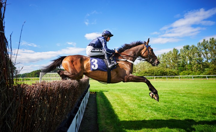 Racing in Perth, Scotland in the grounds of Scone Palace