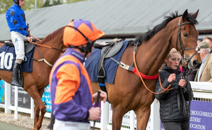 Tickets and Packages for a day at the races in Perthshire