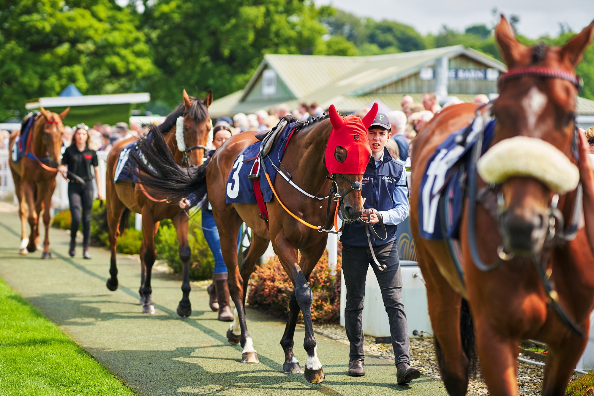 Daily status and the going of racing events at perth racecourse