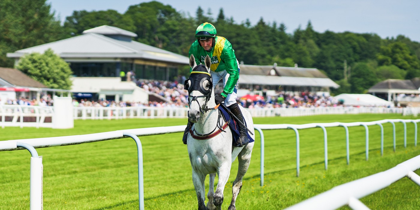 Murrayshall Estate Race Evening at Perth Racecourse