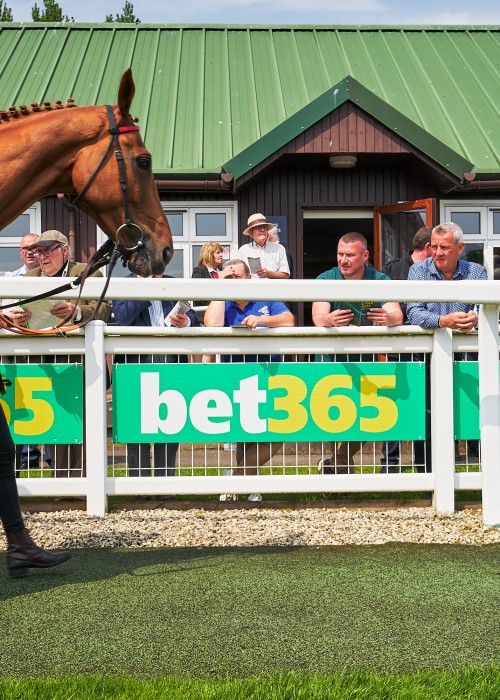 bet365 Gold Cup Day at Perth Racecourse