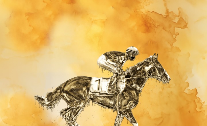 2024 Racing Fixtures at Perth Racecourse in Scotland