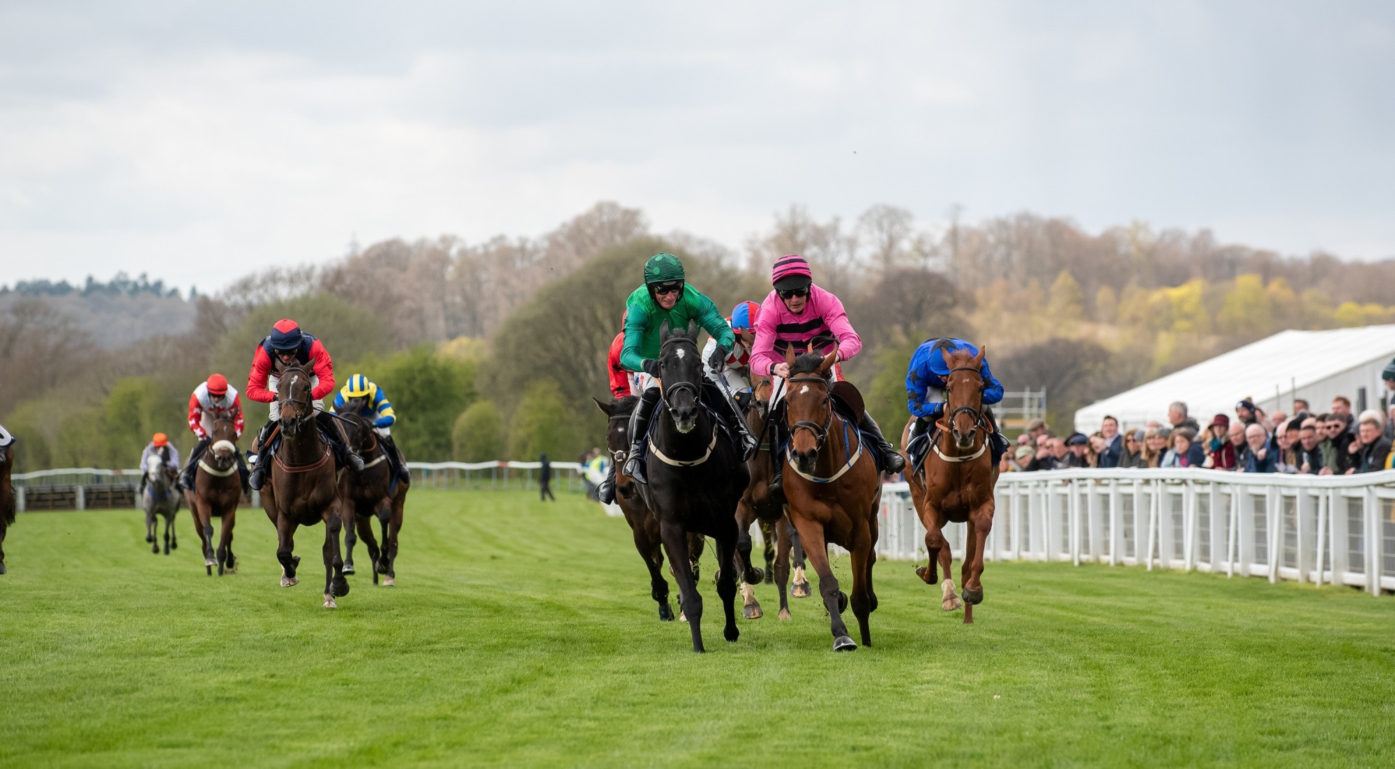 Racing News and Horse Fixture Reviews From Perth Racecourse Scotland