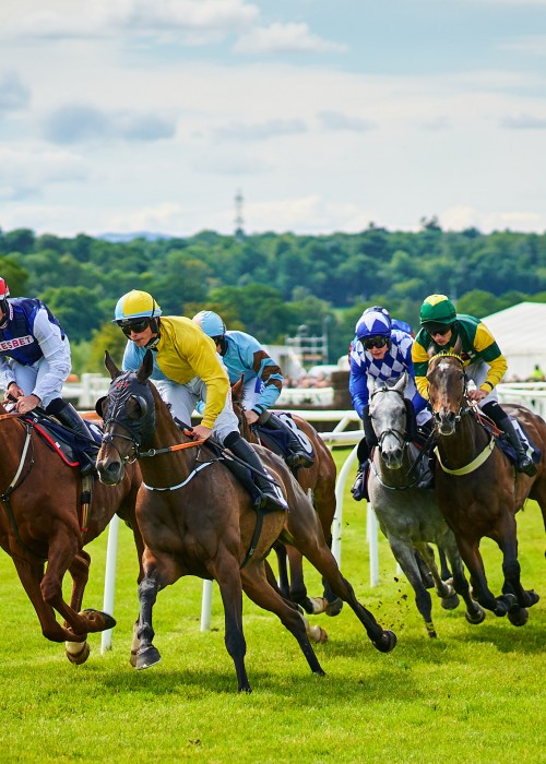 Tickets and Packages for a day at the races in Perthshire