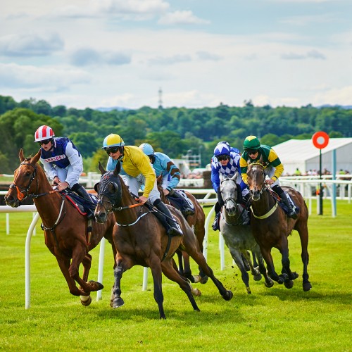 Tickets and Packages for a day at the races in Perthshire