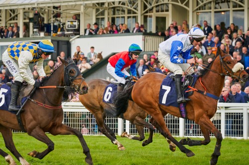 2025 Racing Fixtures at Perth Racecourse in Scotland