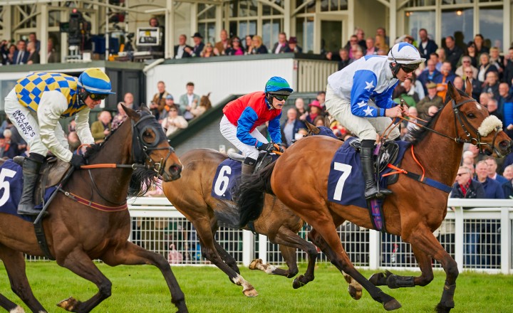 2025 Racing Fixtures at Perth Racecourse in Scotland