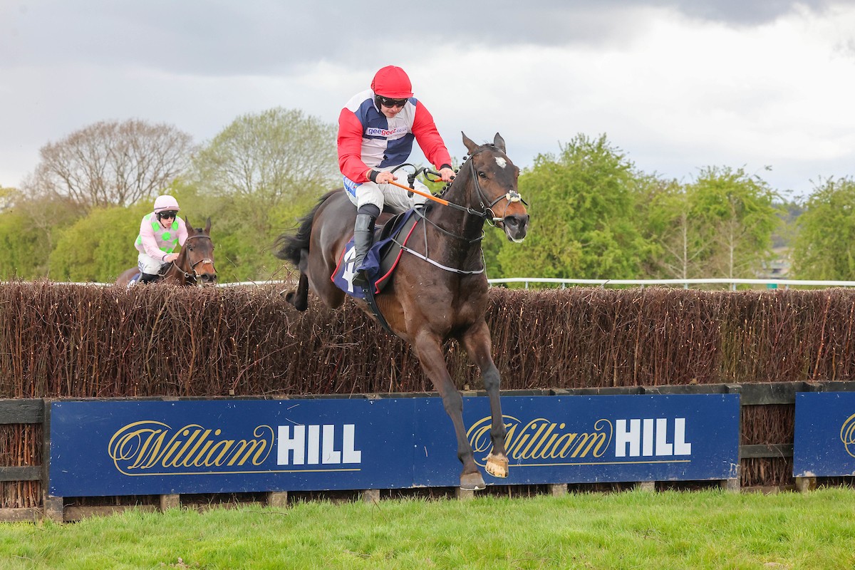 Perth Festival 2025 Day 2 Preview