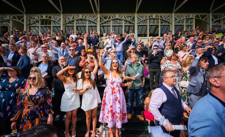 bet365 Gold Cup Day at Perth Racecourse