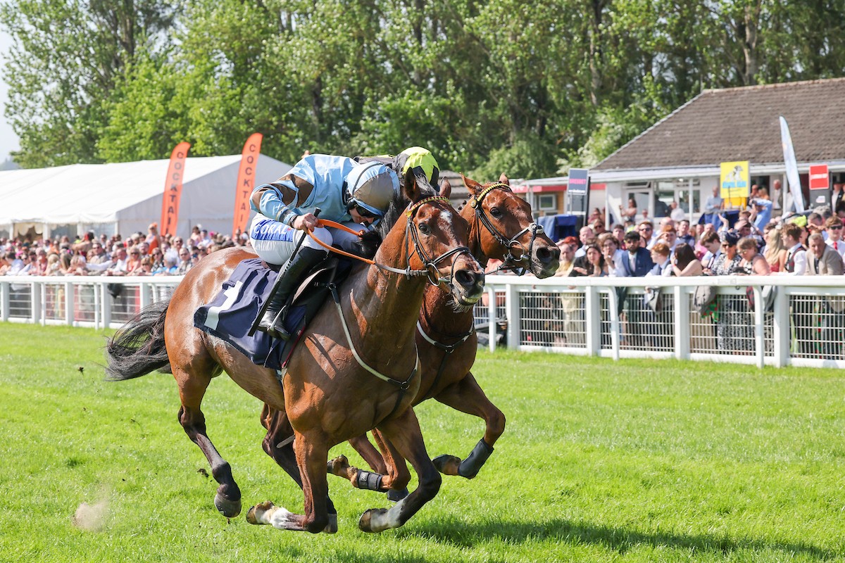 Racing News and Horse Fixture Reviews From Perth Racecourse Scotland