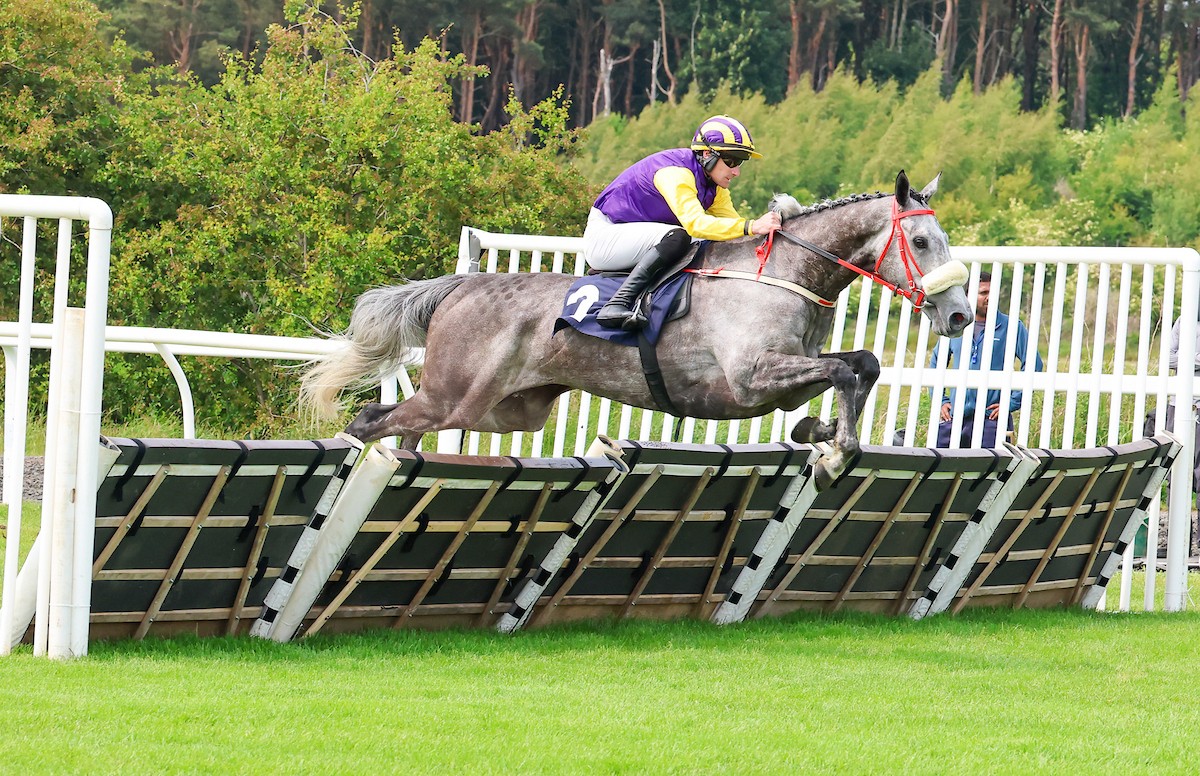 Racing News and Horse Fixture Reviews From Perth Racecourse Scotland