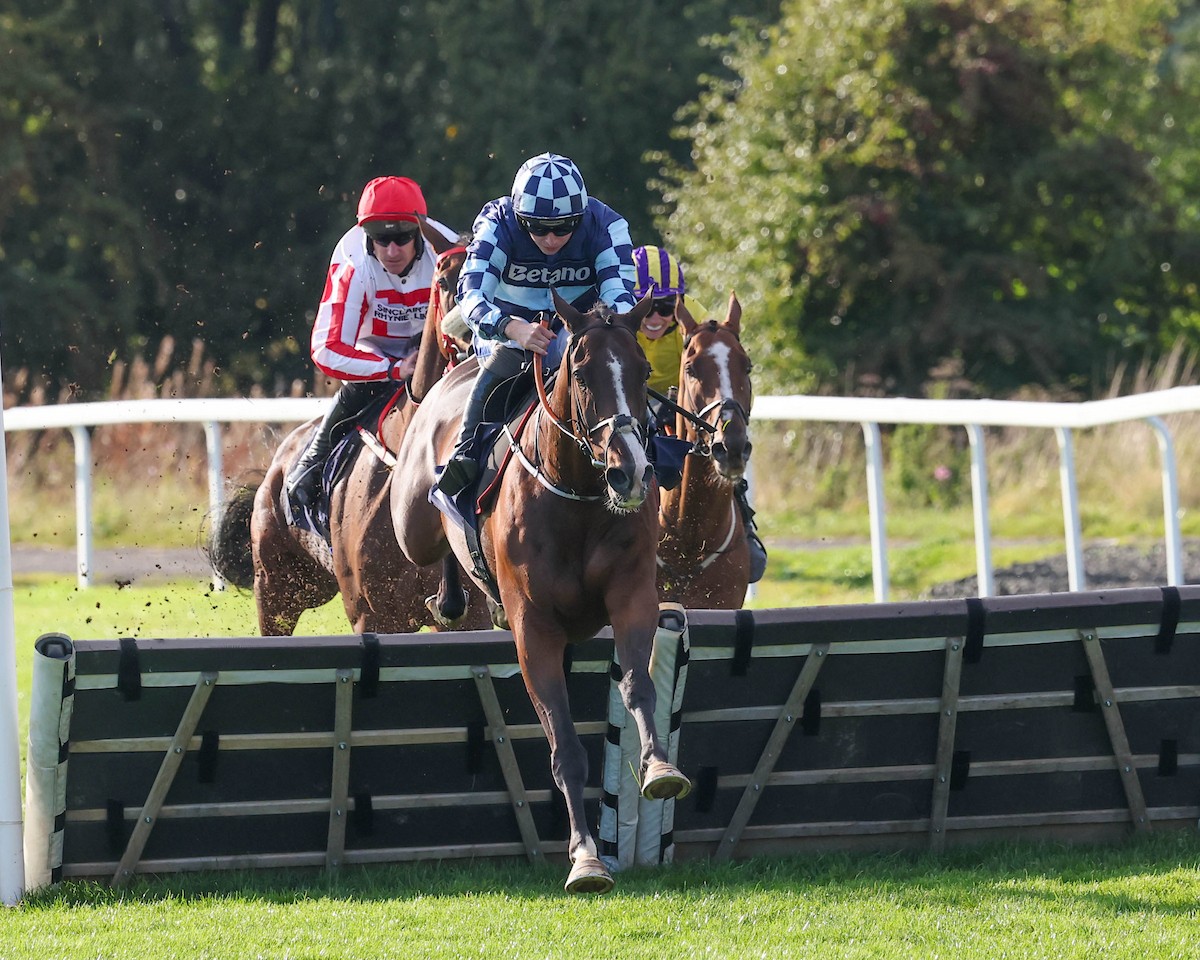 Racing News and Horse Fixture Reviews From Perth Racecourse Scotland