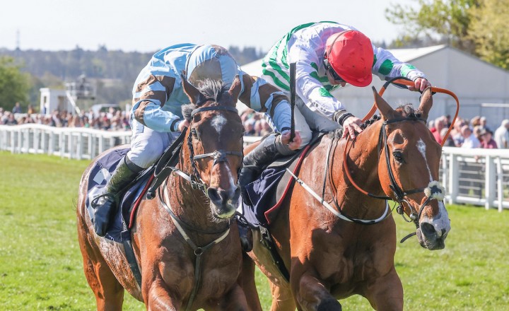 Racing News and Horse Fixture Reviews From Perth Racecourse Scotland